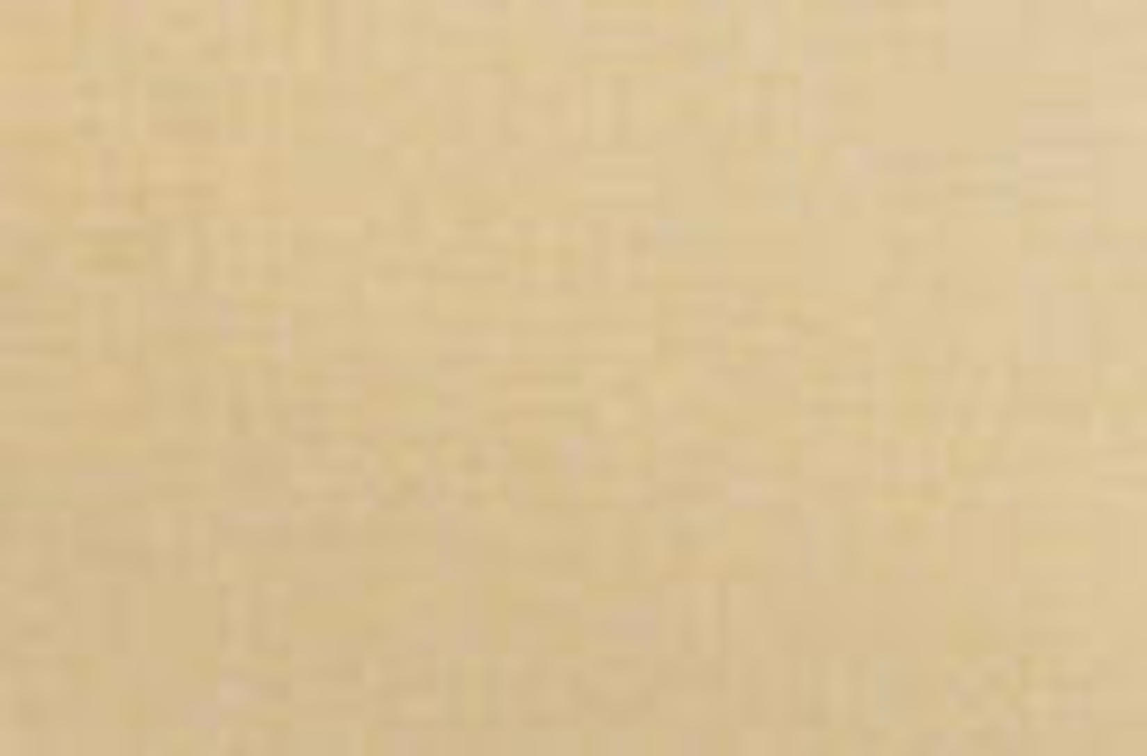 ORACAL® 970 Premium Wrapping Cast: ORAFOL Japan